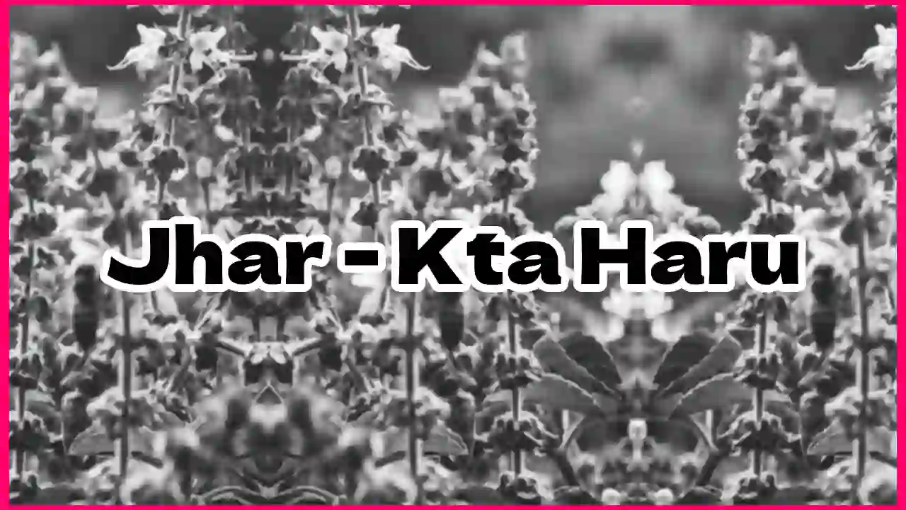 JHAR Lyrics in English – Kta Haru - GeetKoLyrics